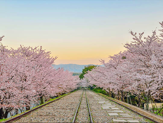 SIGHTSEEING [Official] AOI Hotels & Resorts